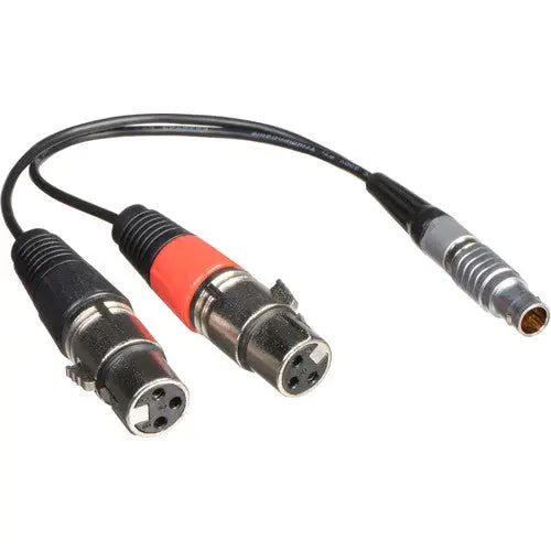 Atomos XLR Breakout Cable for Shogun (Input Only) - Videoguys ...